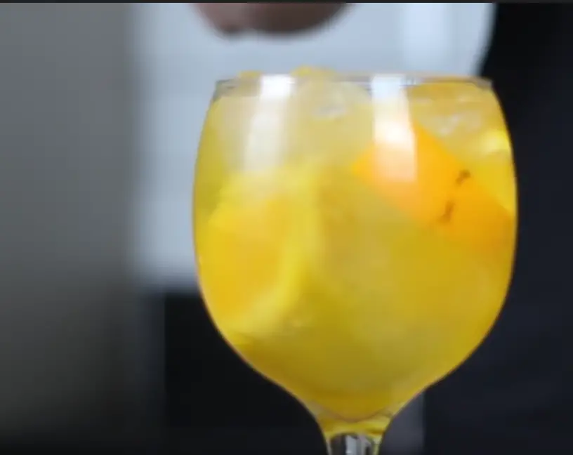 Gin Tropical: Como Fazer Com e Sem Energético - Brasil com Sabor